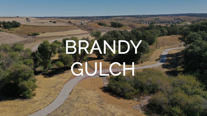 JOSH ROMANS – Naranjo Civil Constructors